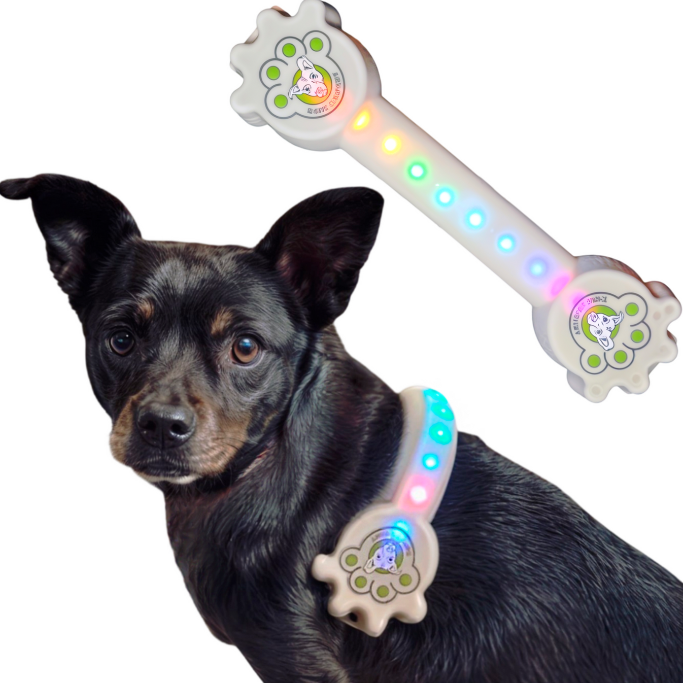 K-9ite Safety Light – K-9ite Company Online Store