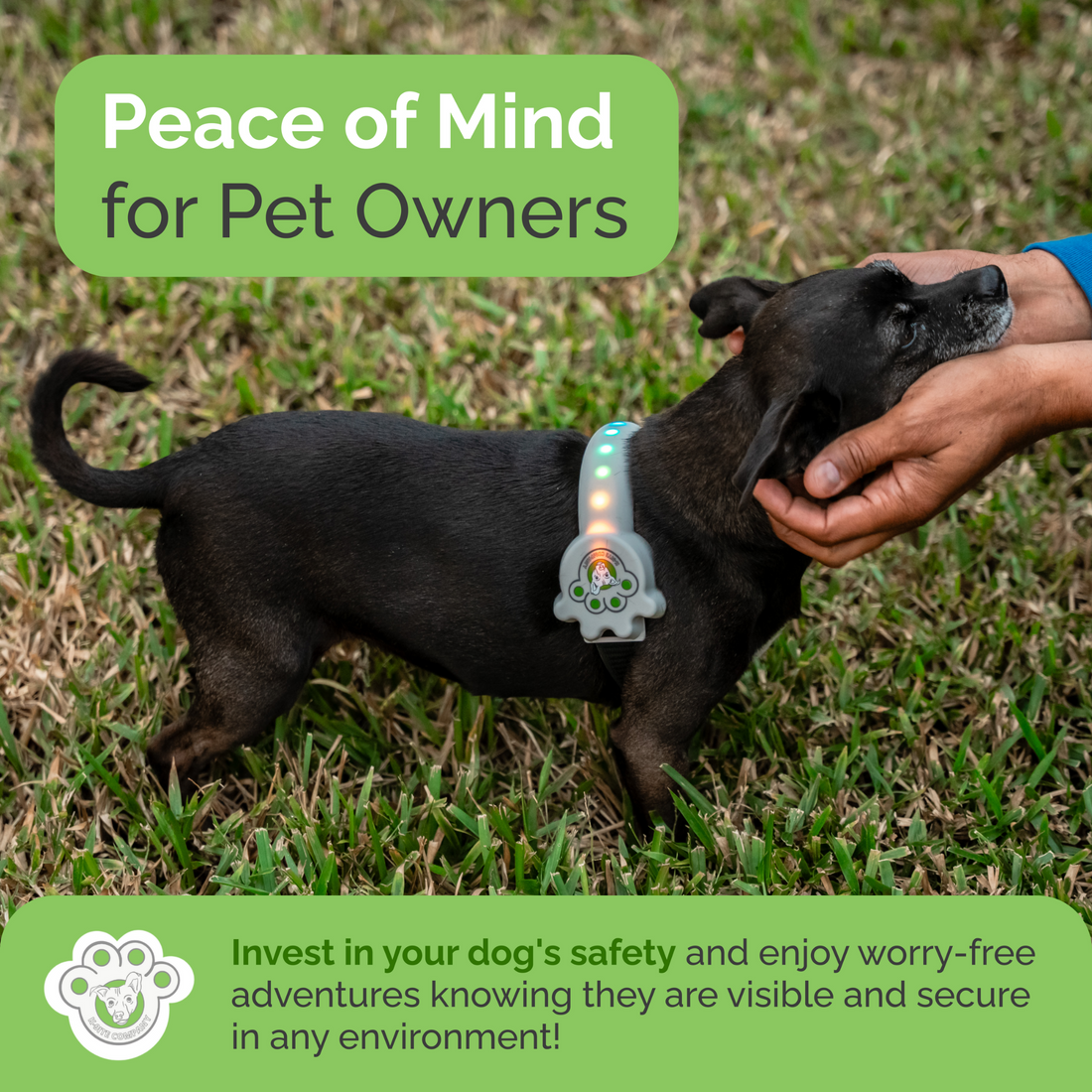 K-9ite Safety Light – K-9ite Company Online Store